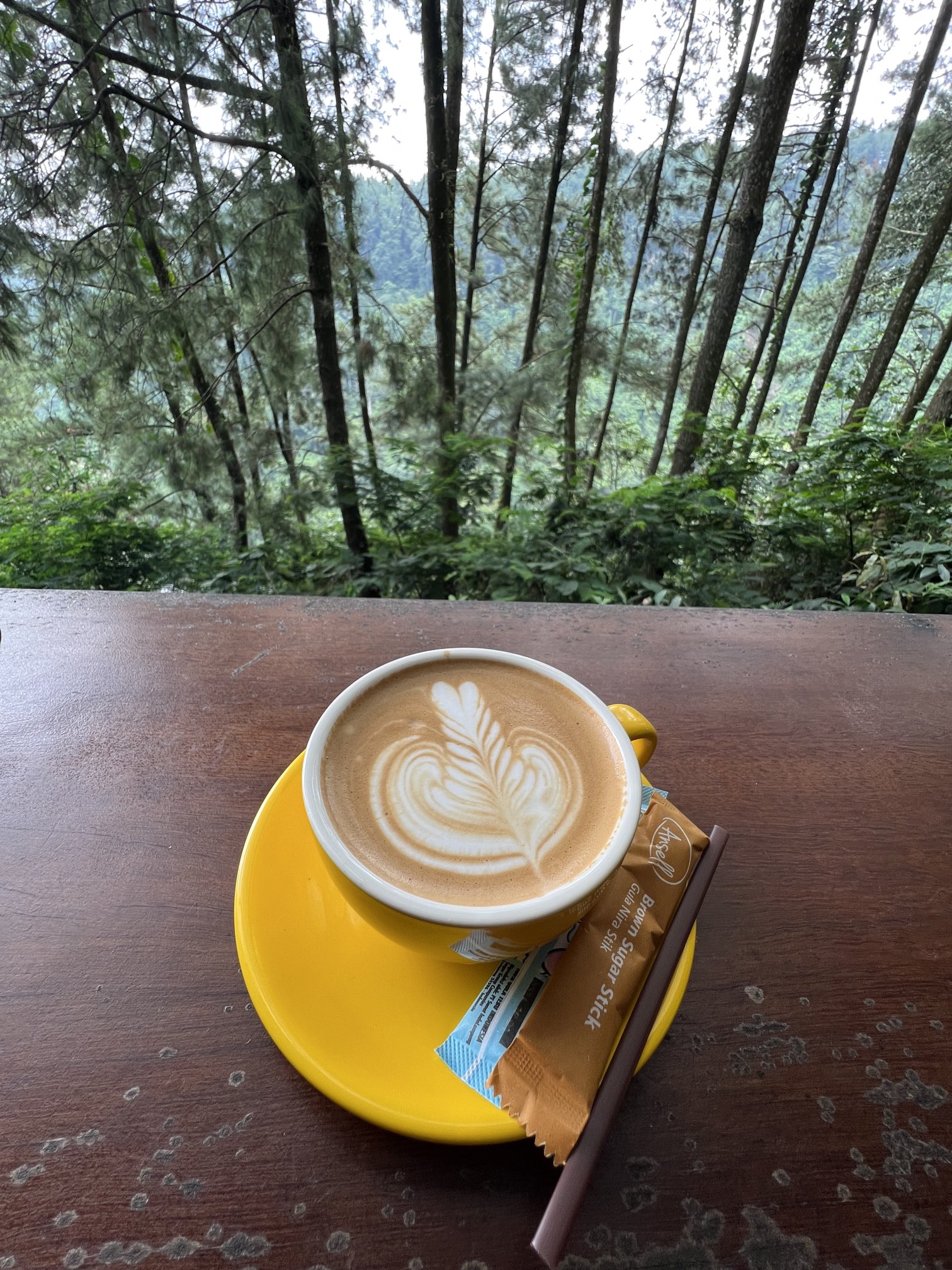Kopi Daong Dimana Alamatnya? Ini Lokasi dan Akses Menuju Tempatnya